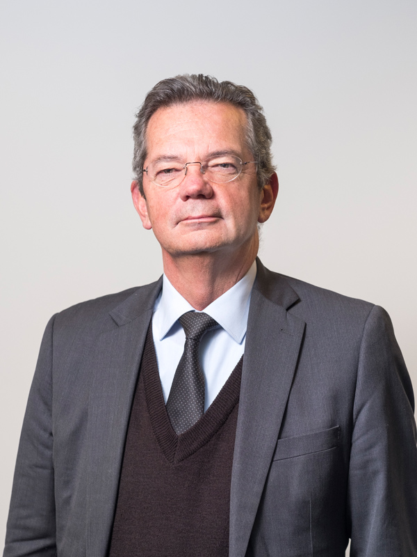 Mr. drs. B.P. (Ben) Vermeulen - Raad van State